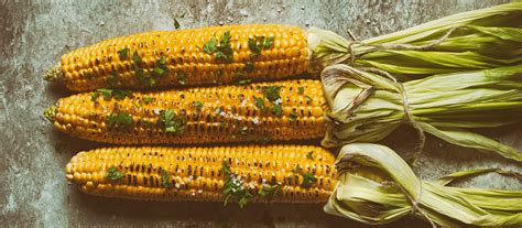 그런지 배경 넓은 구성에 허브와 바다 소금으로 구운 달콤한 옥수수의 클로즈업 사진 톤 상단 보기 플랫 레이 0명에 대한 스톡 사진 및 기타 이미지 Istock