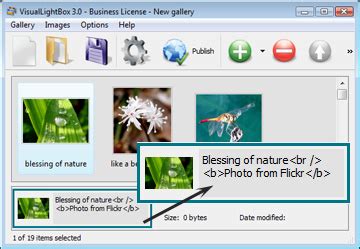 Visual Lightbox Js Free Visual Generator For Lightbox Script For