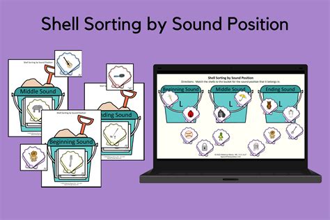 Shell Sorting By Sound Position Speech Therapy Ideas