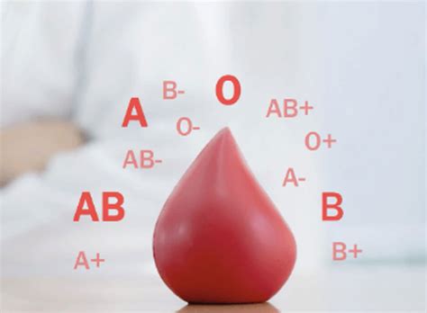혈액형 검사 방법 목적 희귀 혈액형 혈액 수혈 및 이식 유전된 혈액형 바뀜 경우 등 다양한 사례