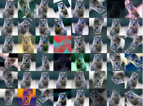 Image Augmentation For Deep Learning Using Keras And Histogram