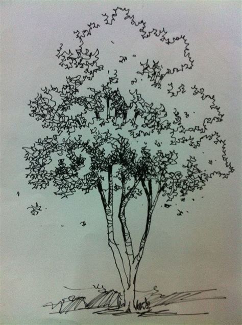 Landscape Architecture Drawing Landscape Sketch Landscape Drawings Architecture Sketch