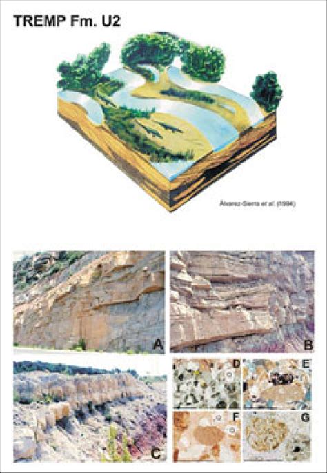 Palaeoenvironmental Reconstruction Of Unit 2 Tremp Formation Based On