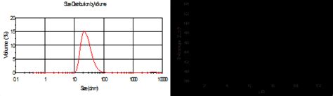 The Particle Size Of Copolymer At Ph 7 And Its Ph Responses Download