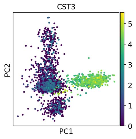 Dk的小站 用scanpy对pbmc示例数据进行单细胞数据分析流程学习