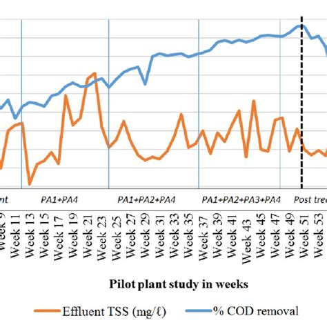 Configuration Of The Pilot Plant Hybrid Fixed Film Bioreactor H Ffbr Download Scientific