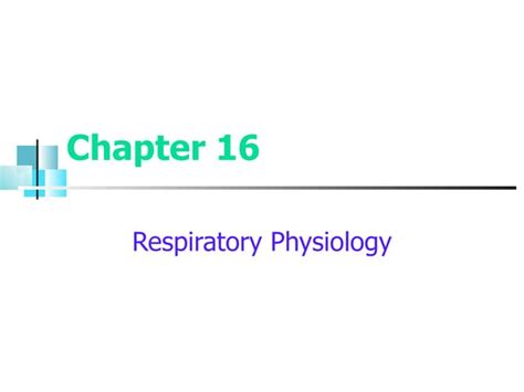 Respiratory System Physiology Ppsx Respiratory System Physiology Ppsx