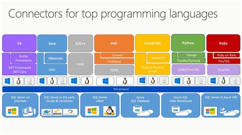 sql server php what s new ppt download
