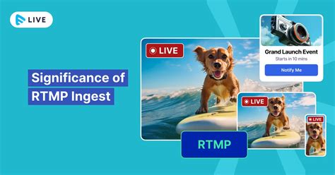 How Significant Is Rtmp Ingest” To The Live Streaming Landscape Muvi One