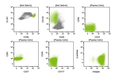 International Clinical Cytometry Society
