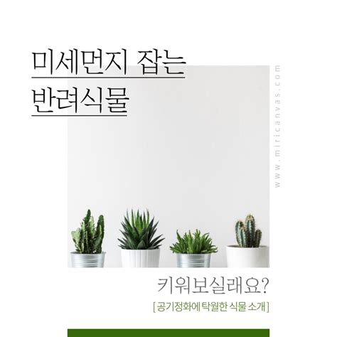 20190312 템플릿 업데이트 카드뉴스 사이즈별 웹 배너 템플릿이 추가되었습니다 고객센터 미리캔버스