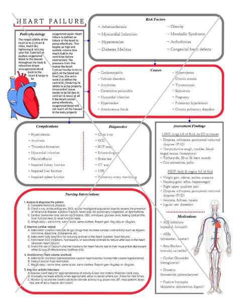Heart Failure Concept Map
