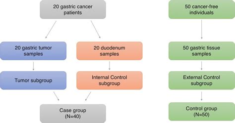 Schematic Visualization Of The Sampling Design Download Scientific