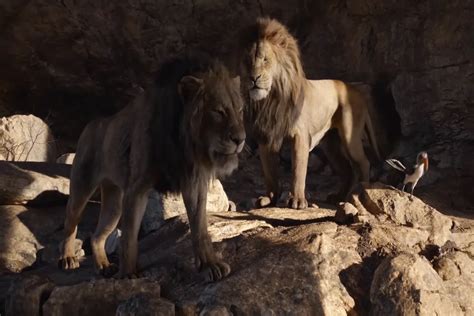 The Lion King What Caused The Falling Out Between Mufasa And Scar
