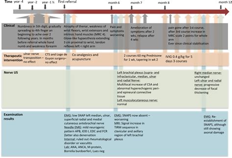 What Is Axonal Sensorimotor Neuropathy At Scott Gerber Blog