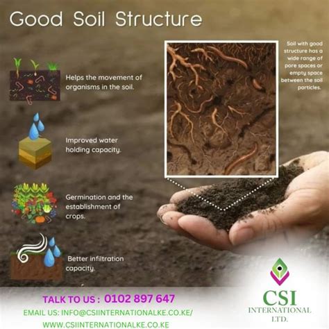 Learn About Soil Quality And Nutrient Retention Csi International