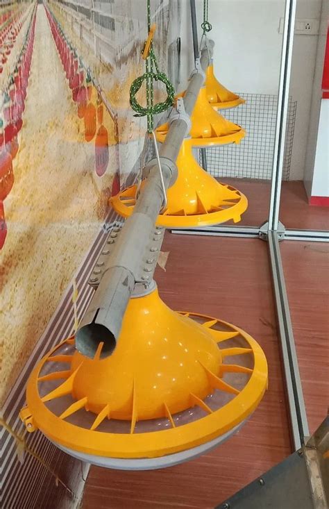 Pvc Automatic Pan Feeding System At ₹ 350 Piece Automatic Pan Feeding System In Bhubaneswar