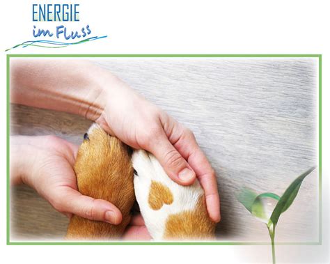 Energetisches Heilen Birgit Betzold Meeder