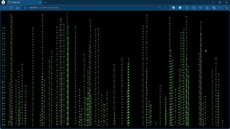 [video] hawana tamang on linkedin every programmer s life starts with