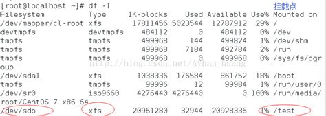 linux下查看硬盘信息、硬盘分区、格式化、挂载、及swap分区 liunz如何查看磁盘格式化类型 csdn博客