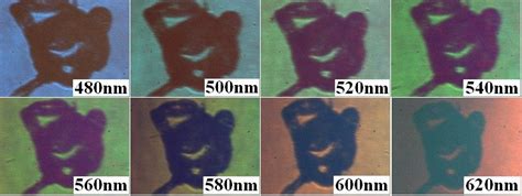 A Sets Of Spectral Images With Nm Spectral Resolution Captured By Download Scientific