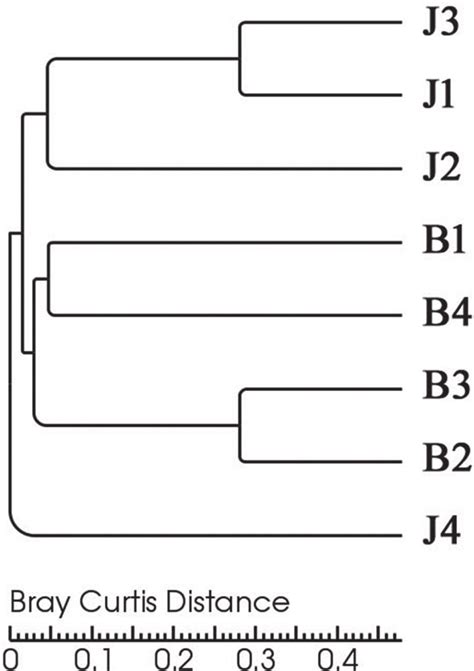 Bray Curtis Distance Based Upgma Clustering Of Fungal Communities In Download Scientific
