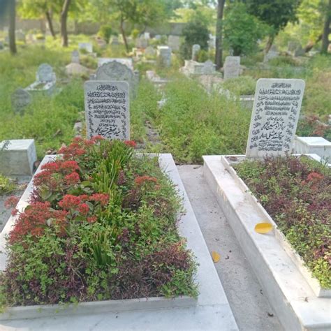 Syed Basharat Hussain Shah On Linkedin My Father And My Uncle Graves One Day We All There 😢