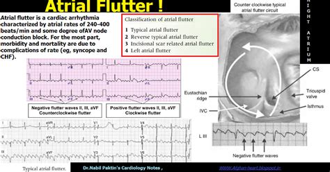 Dr Nabil Paktin s Journal of Cardiovascular Medicine Blog ژورنال قلب و رگ دکتور نبــیل