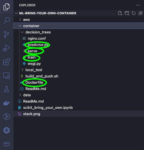 bring your own container byoc with machine learning algorithm into aws cevo