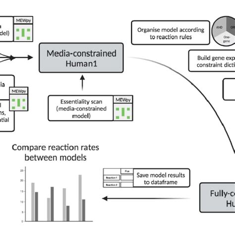 The Transcriptomics Integration Workflow First A Media Dictionary Was