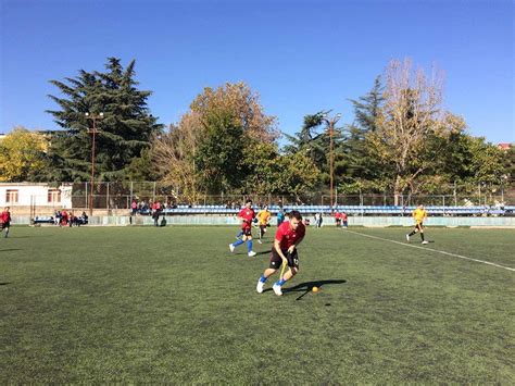 ს საქართველოს ჰოკეის ფედერაცია Georgian Hockey Federation