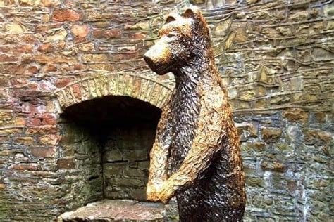 Bears Once Lived In Sheffield Botanical Gardens But They Didnt Kill
