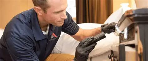 What Happens During A Professional Bed Bug Treatment In Nc