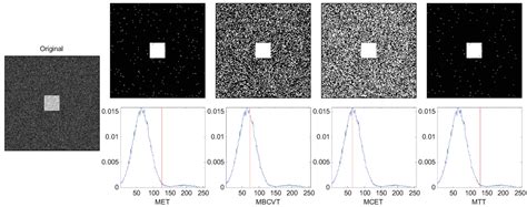Entropy Special Issue Tsallis Entropy