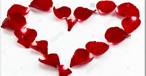 සිහිනයට අරුතක්