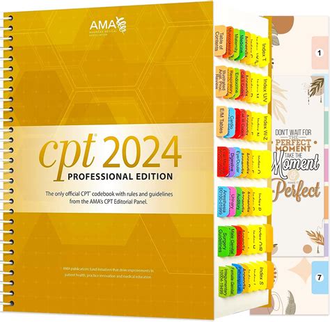 Index Tabs For Cpt 2024 Professional Edition 60 Cpt Book Tabs Laminated Color