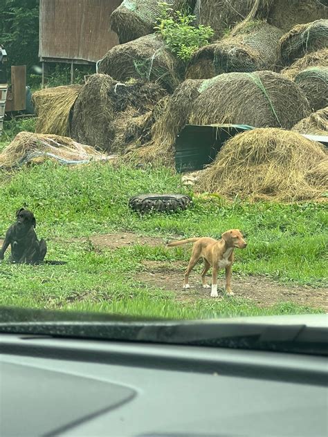 Braylen Leslie Braylen Leslie Added A New Photo