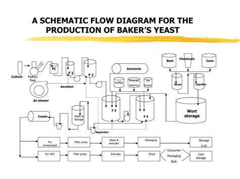 Ppt Bakers Yeast Production An Overview Powerpoint Presentation