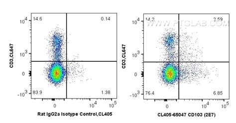 Cd103 Antibody Cl405 65047 Proteintech