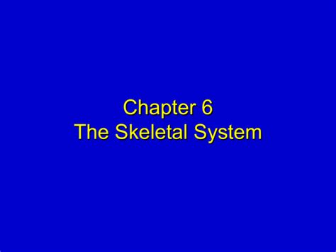Chapter 6 The Skeletal System