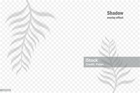 벡터는 흰색 빈 수직 용지의 모의 그림자 오버레이 효과입니다 가지 식물 및 잎에서 투명 부드러운 빛과 그림자 투명한 잎 그림자와 자연 번개의 모형 0명에 대한 스톡 벡터