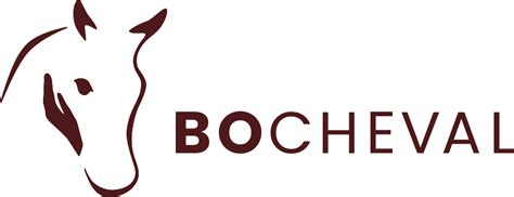 Bocheval Well Being Facilitated With Horses