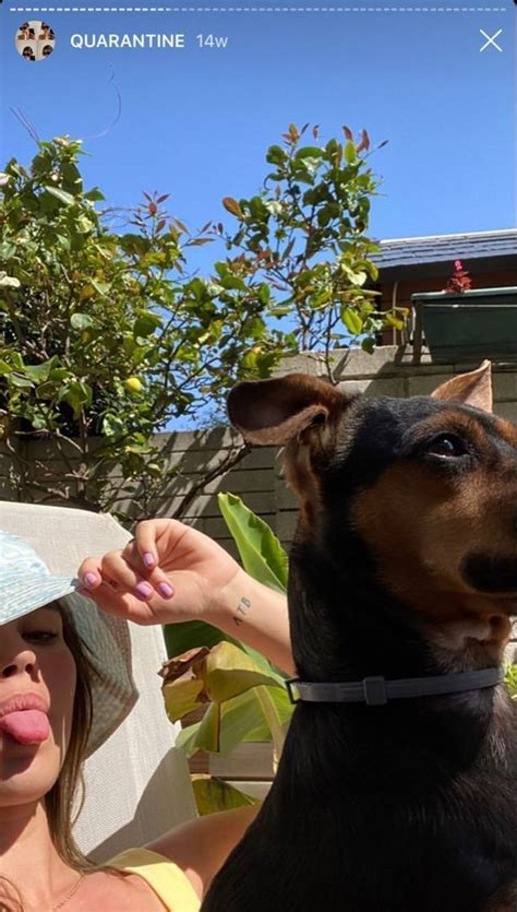 Pin De Ari Em Insta Filhotes Cachorro Gatos Pin De Ari Em Insta Filhotes Cachorro Gatos