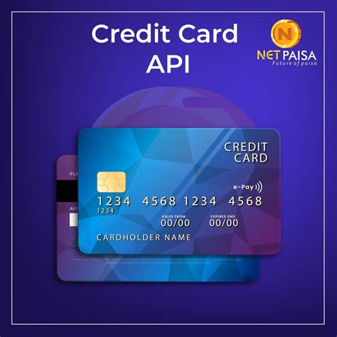 1 Php Credit Card Api For Retailer And Distributer At Rs 20000 In Noida