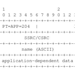 Application Defined RTCP Packet Download Scientific Diagram