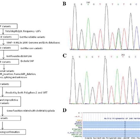 the data screening process of whole exon sequencing revealed variants download scientific