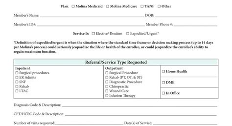 Molina Prior Authorization Pdf Form Formspal