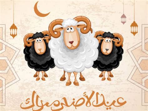 تهنئة عيد الأضحى لحبيبتي 3 وسائل لكسب قلب المرأة في العيد