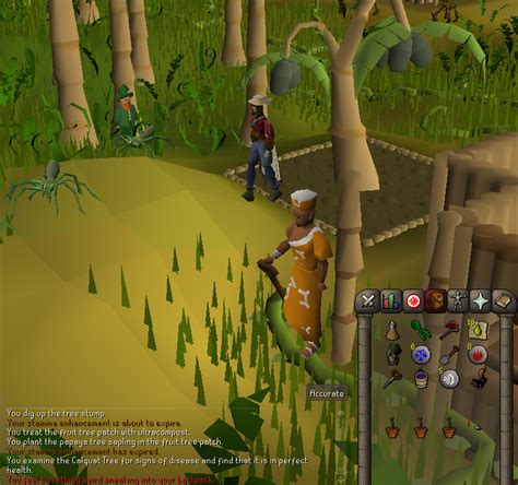 Fruit Trees Home Gardening Apple Cherry Pear Plum Fruit Tree Patches Rs3