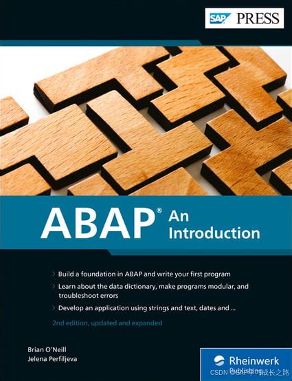 10 本你应该阅读的 Abap 书abap Flora Fan Csdn博客